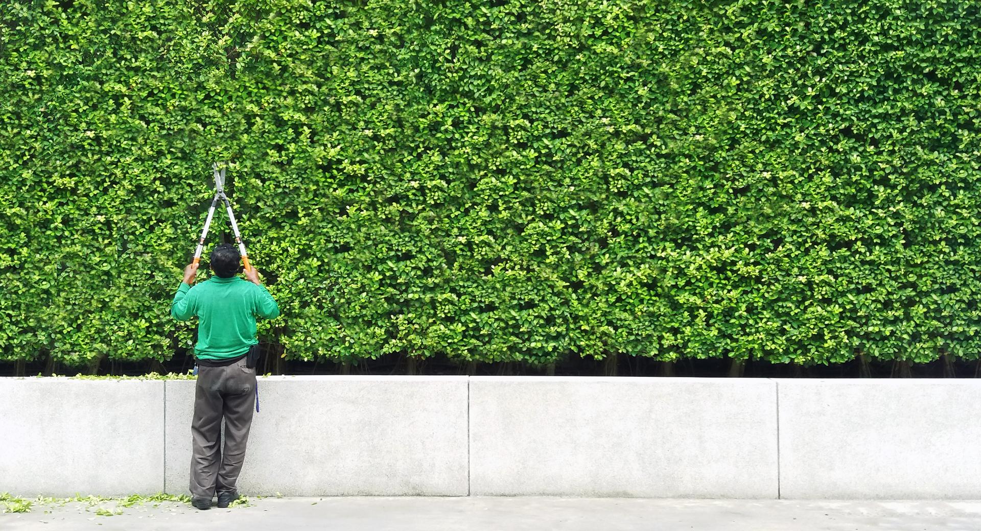 Harnessing-the-Green-Expert-Lawn-and-Tree-Care-in-Eagle-Idaho.jpg